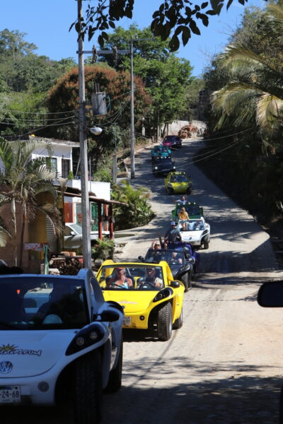 Gallery - Buggy Town