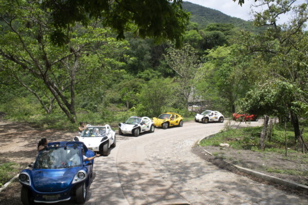 Gallery - Buggy Town